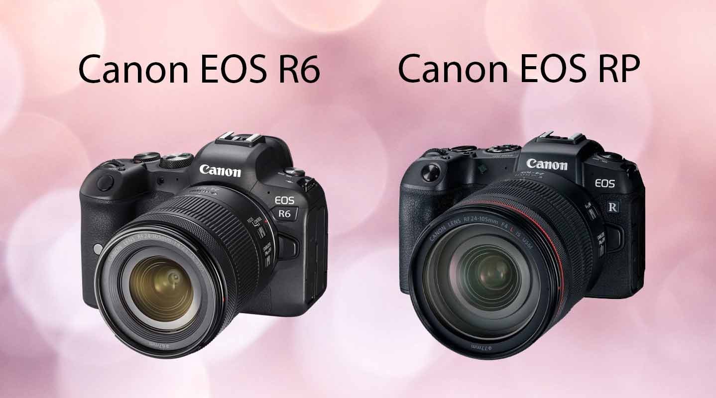 Canon R6 Vs Canon RP Key Differences Isolapse Canon R6 Vs Canon RP Key Differences Isolapse